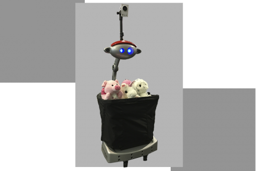Nanny Robot